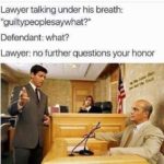 51+ Legal Memes and Courtroom Memes Reviewed [2022 FIRE Edition ...