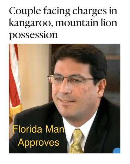 50+ Jail Memes and Prison Memes Reviewed [2020 Edition] - Healing Law