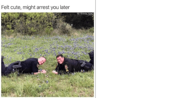 50+ Police Memes and Cop Memes Reviewed [2022 Bonus Edition]