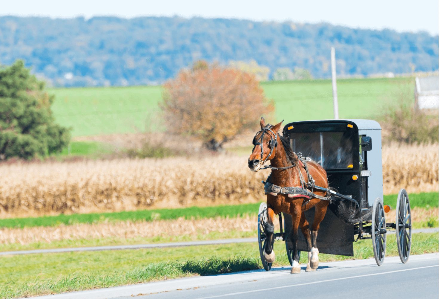 What the Case of Amos Miller Vs. US Shows Us About the People, the Law ...